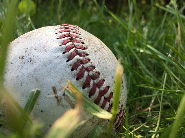 The Brief History of Baseball in the US – doylebaseball.com